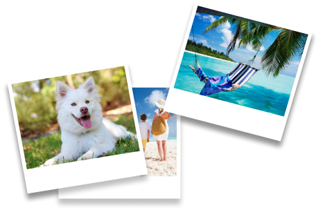 ProScan Mobile Scanner